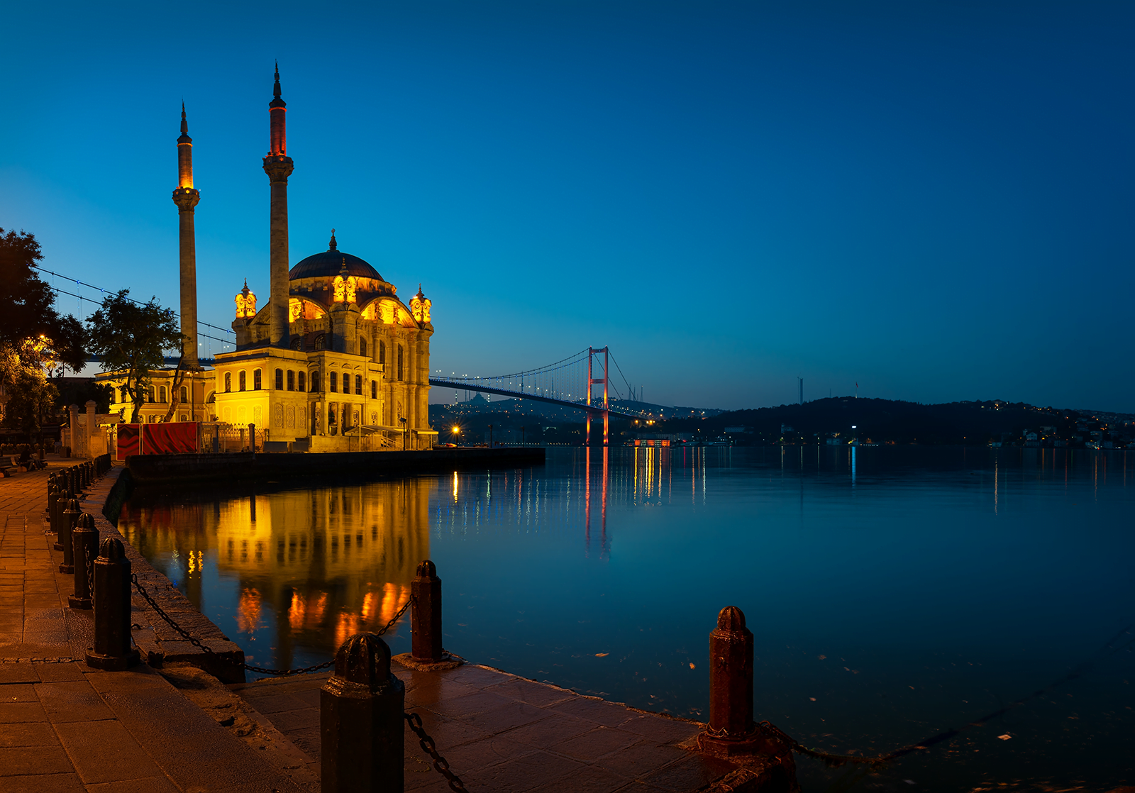 Why Is Turkey The Global Leader In Hair Transplants? - Lenus Clinic